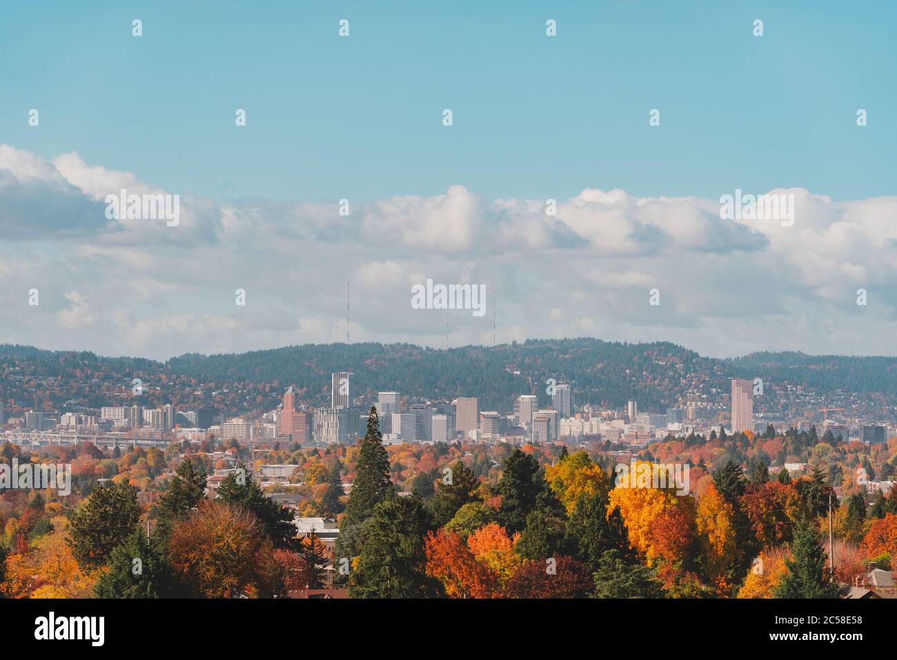 Aerial view of the buildings and trees in Autumn Stock Photo - Alamy