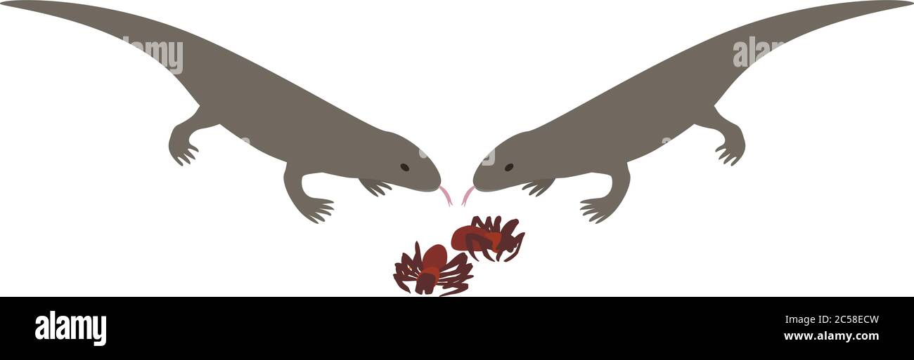 Desert monitor lizard Stock Vector Images - Alamy