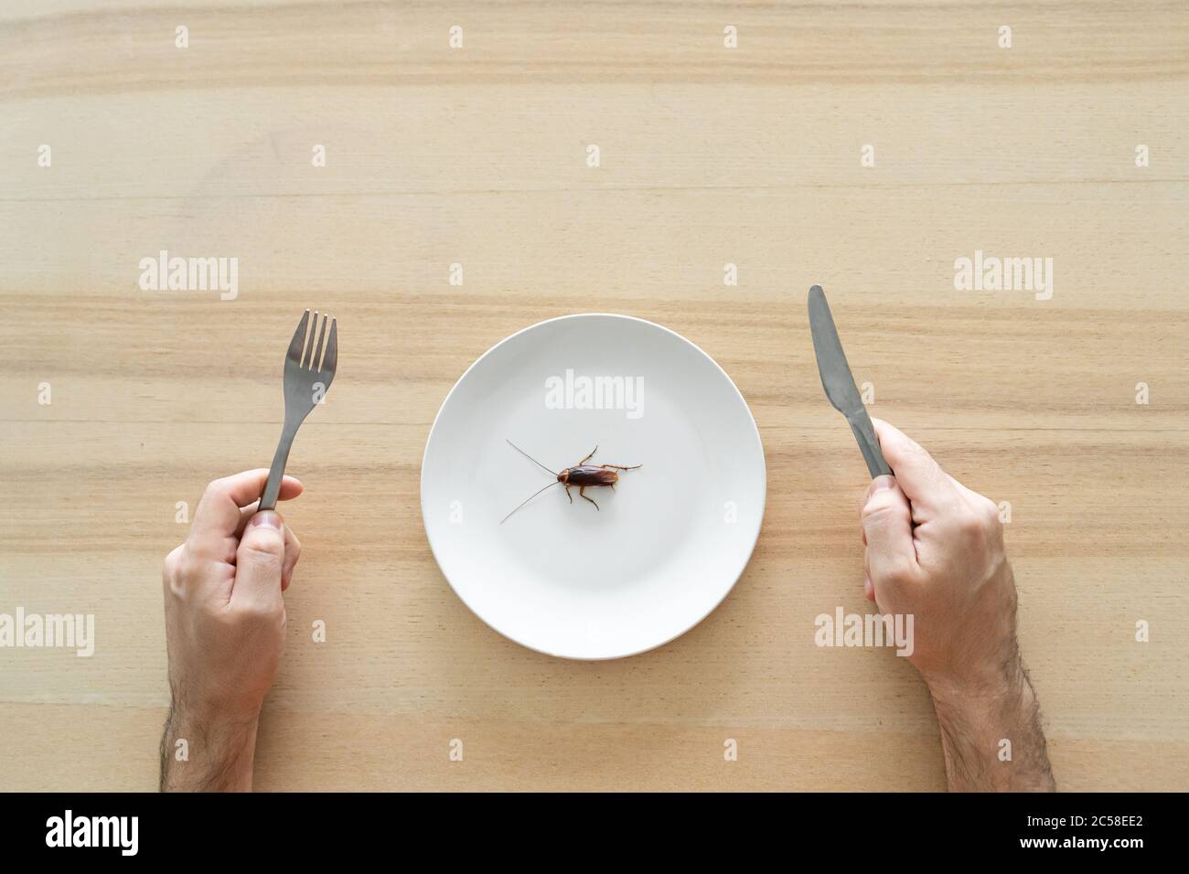 Eating Cockroach High Resolution Stock Photography and Images - Alamy