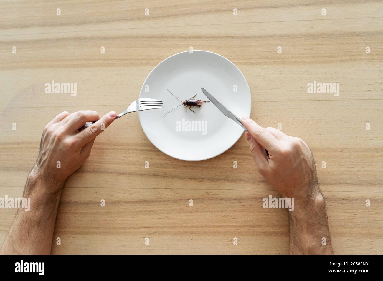 Eating Cockroach High Resolution Stock Photography and Images - Alamy