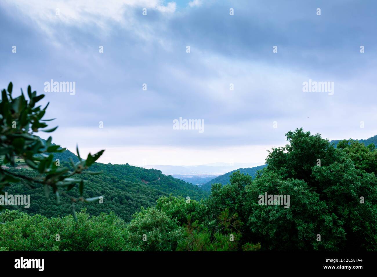 Beautiful scenic landscape shot of trees with large green hills in the ...