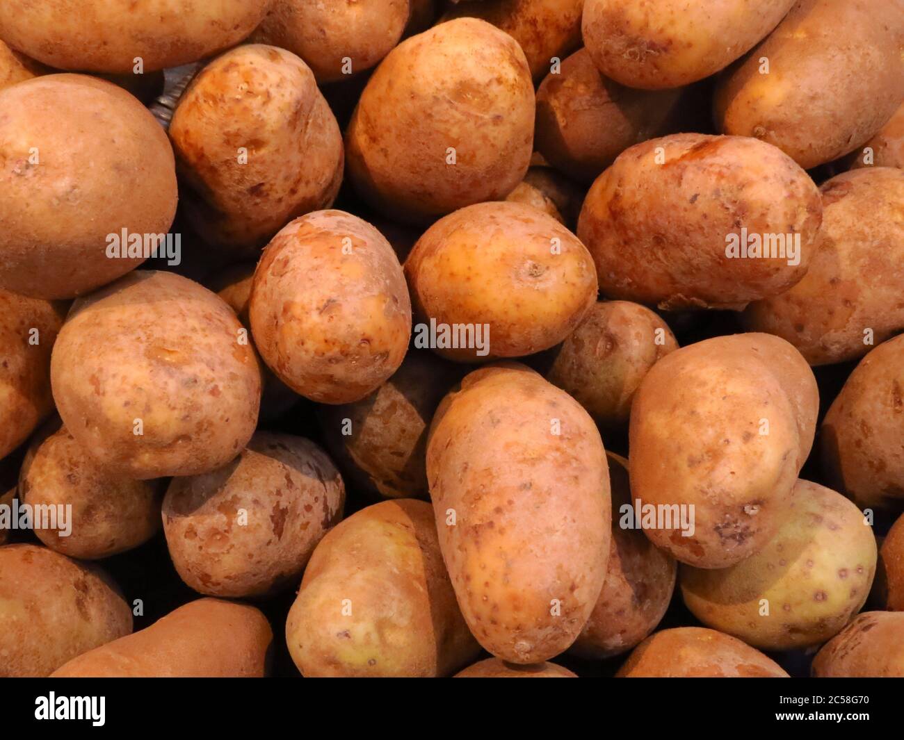 Pile of fresh organic potatoes at a vegetable market Stock Photo - Alamy
