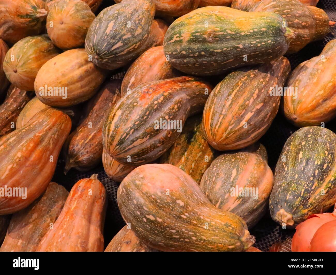 Irregularly shaped spots hi-res stock photography and images - Alamy