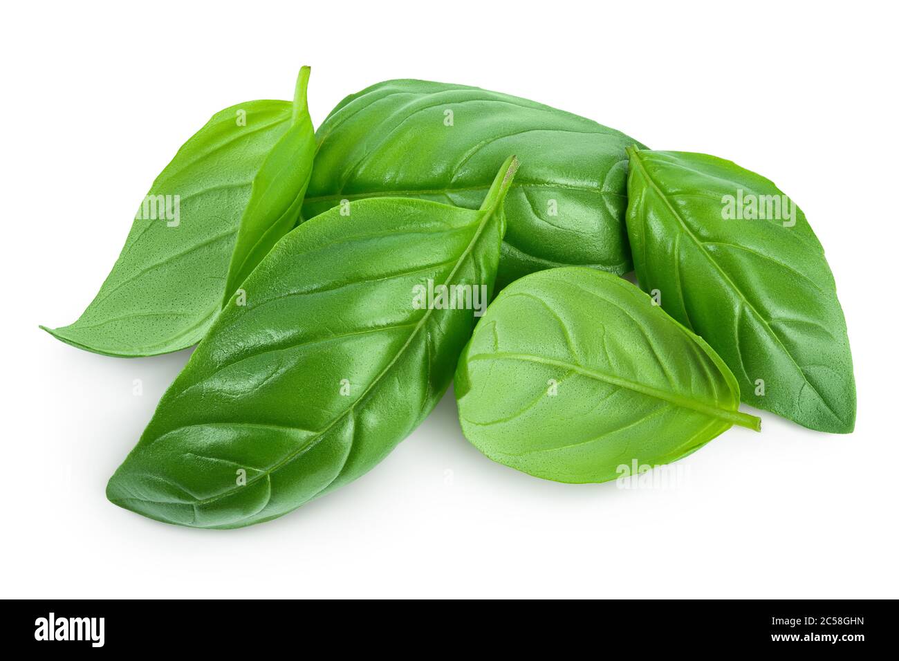 Fresh basil leaf isolated on white background with clipping path and ...