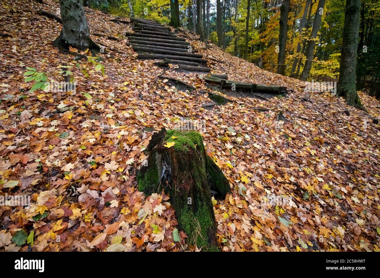 Wet low point of view hi-res stock photography and images - Alamy