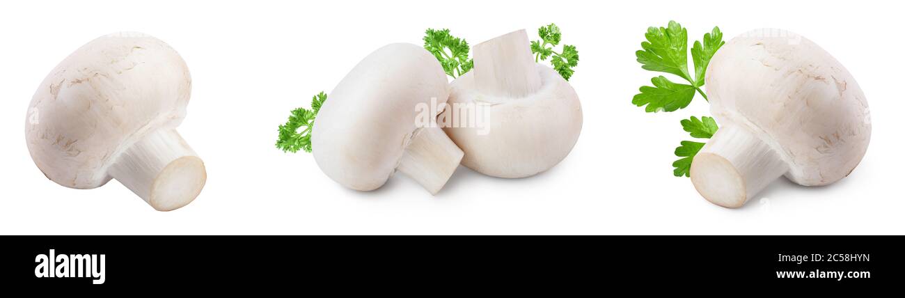 Fresh mushrooms champignon isolated on white background with clipping ...