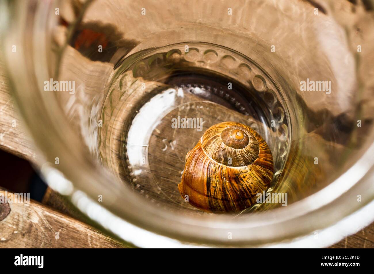 Snails Eye View High Resolution Stock Photography and Images - Alamy