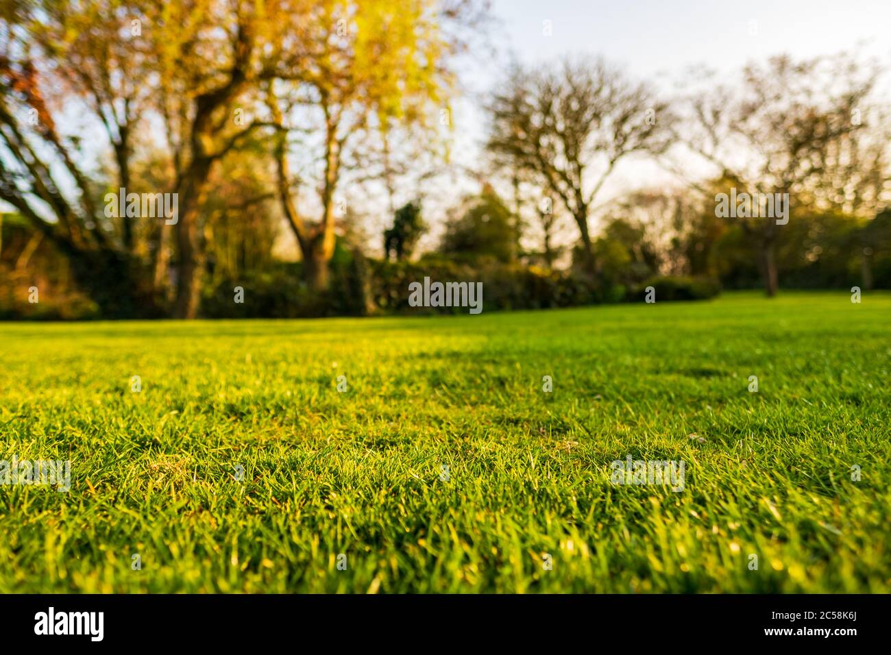 Recently mowed grass hi-res stock photography and images - Alamy