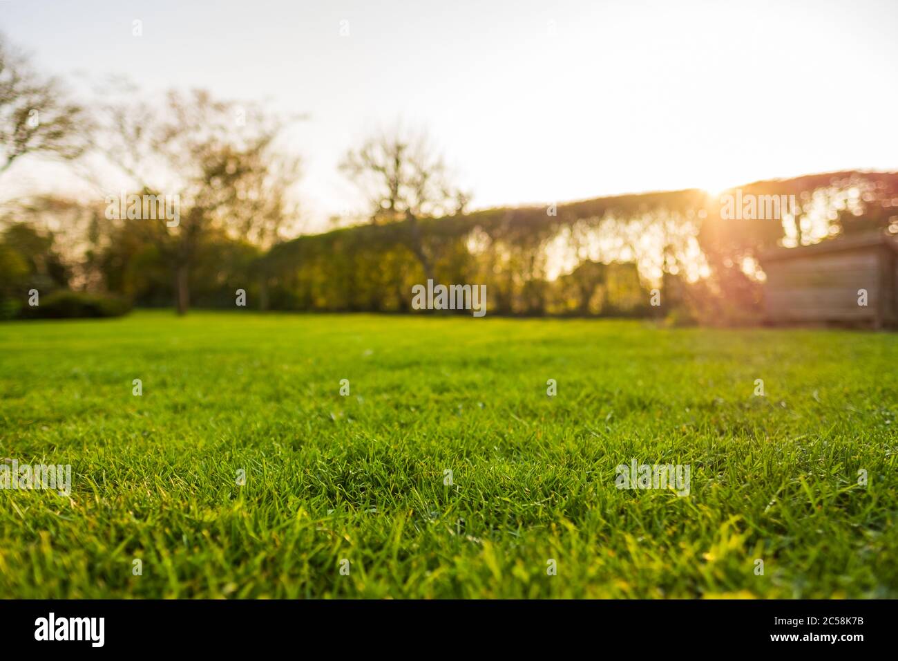 Yard yards lawn lawns hi-res stock photography and images - Alamy