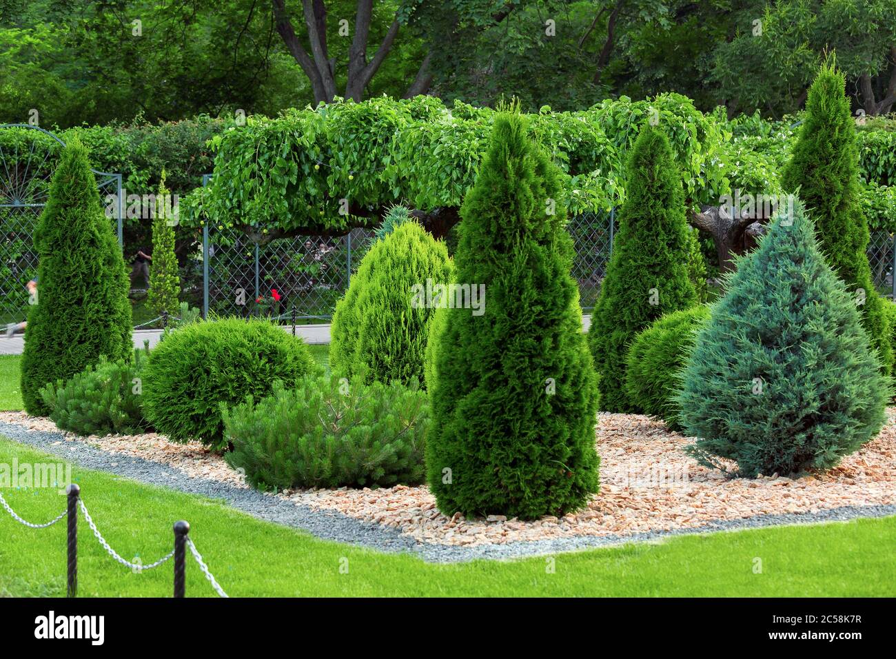 Landscaping With Shrubs And Conifers Conifers To Consider Fine