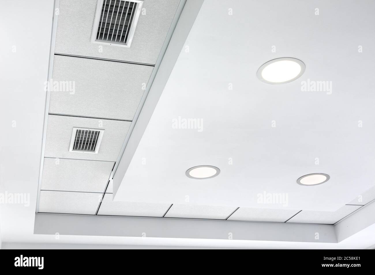 multi-level ceiling with three-dimensional protrusions and a suspended ...