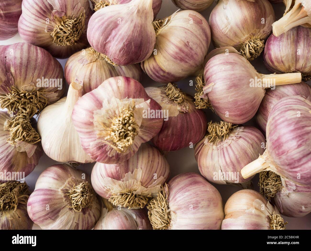 Fresh garlic closeup. Pile of garlic heads. Garlic heap. Background of ...
