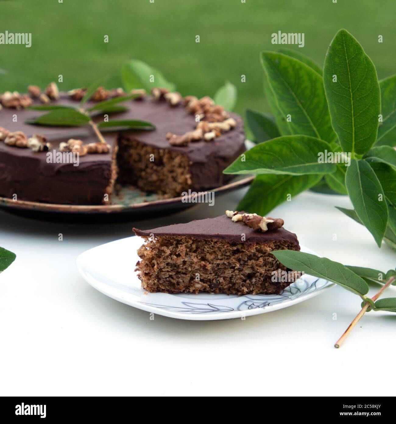 Homemade Chocolate Cake. Traditional Croatian cake - Skradinsky cake ...