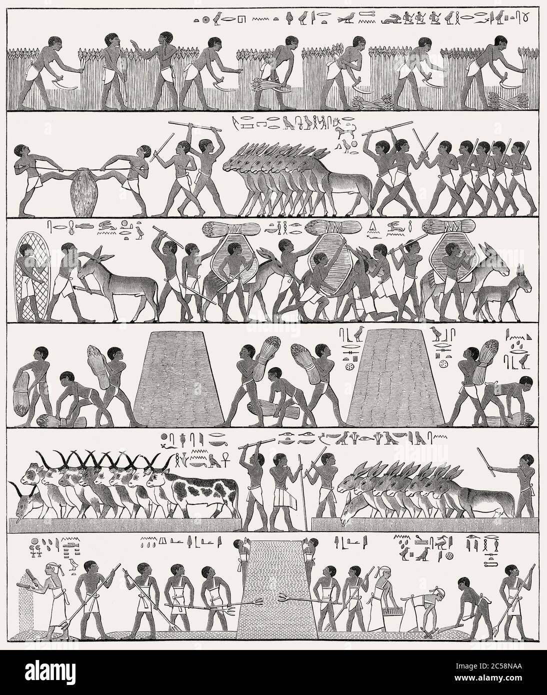 Ancient egyptian farmers hi-res stock photography and images - Alamy