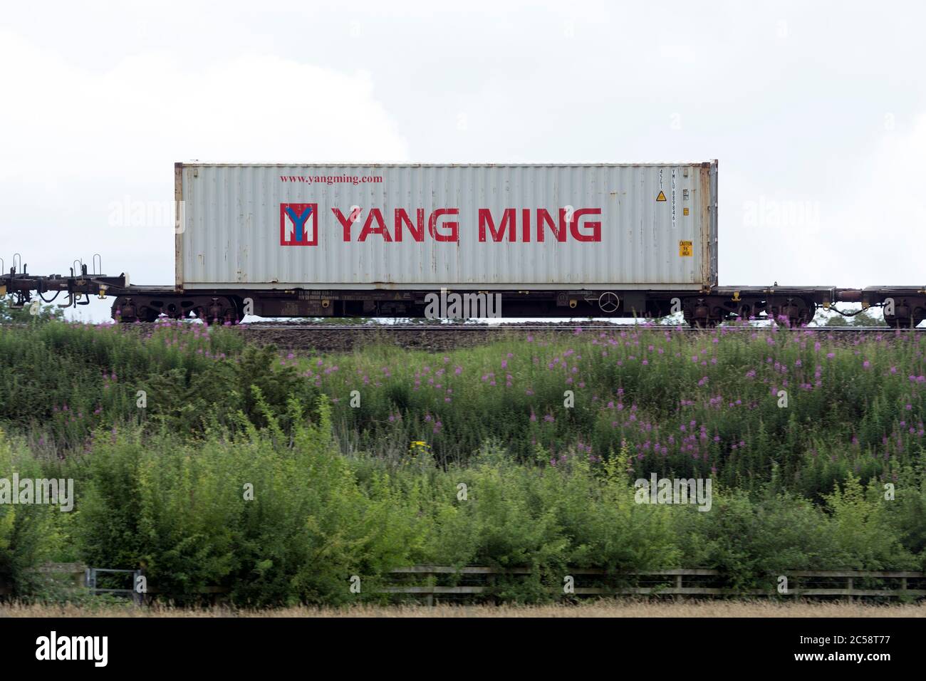 Yang ming shipping hi-res stock photography and images - Alamy