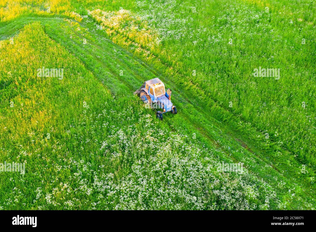 Aerial top view farm scene agricultural tractor mows grass with a mower ...