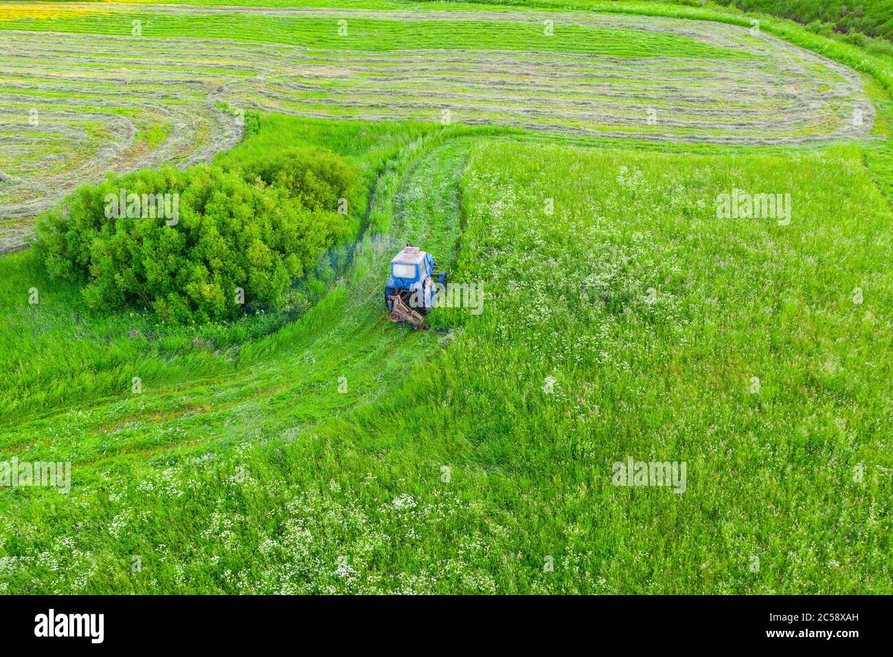 Aerial top view farm scene agricultural tractor mows grass with a mower ...