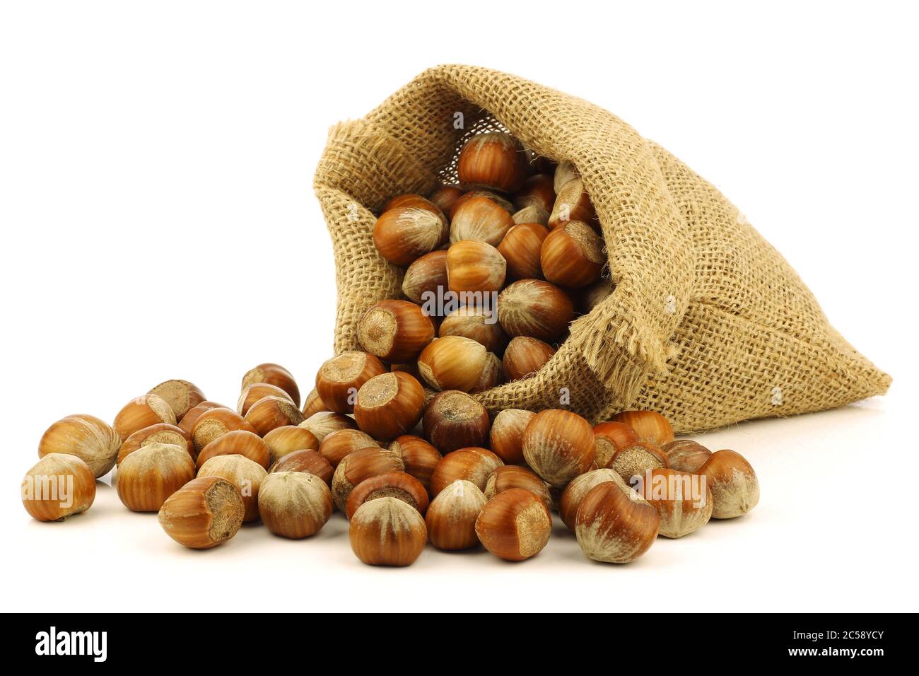 fresh hazelnuts in a burlap bag on a white background Stock Photo - Alamy
