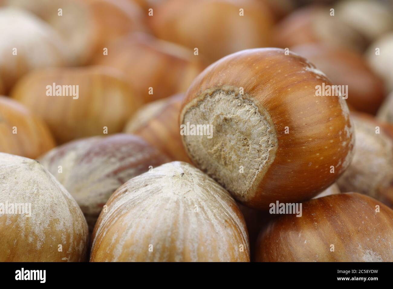 fresh hazelnuts background Stock Photo - Alamy
