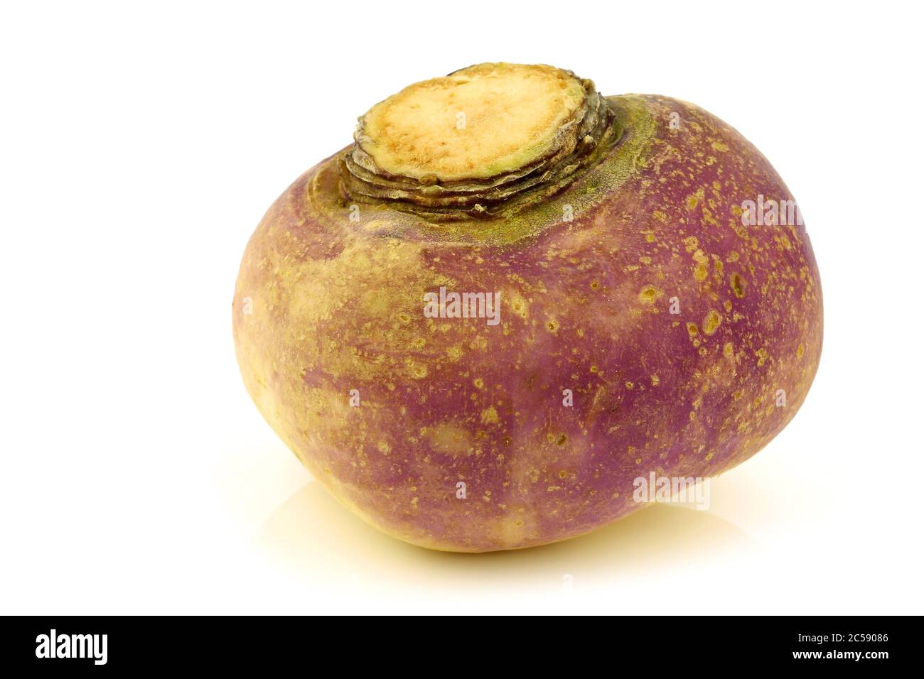 fresh turnip on a white background Stock Photo - Alamy