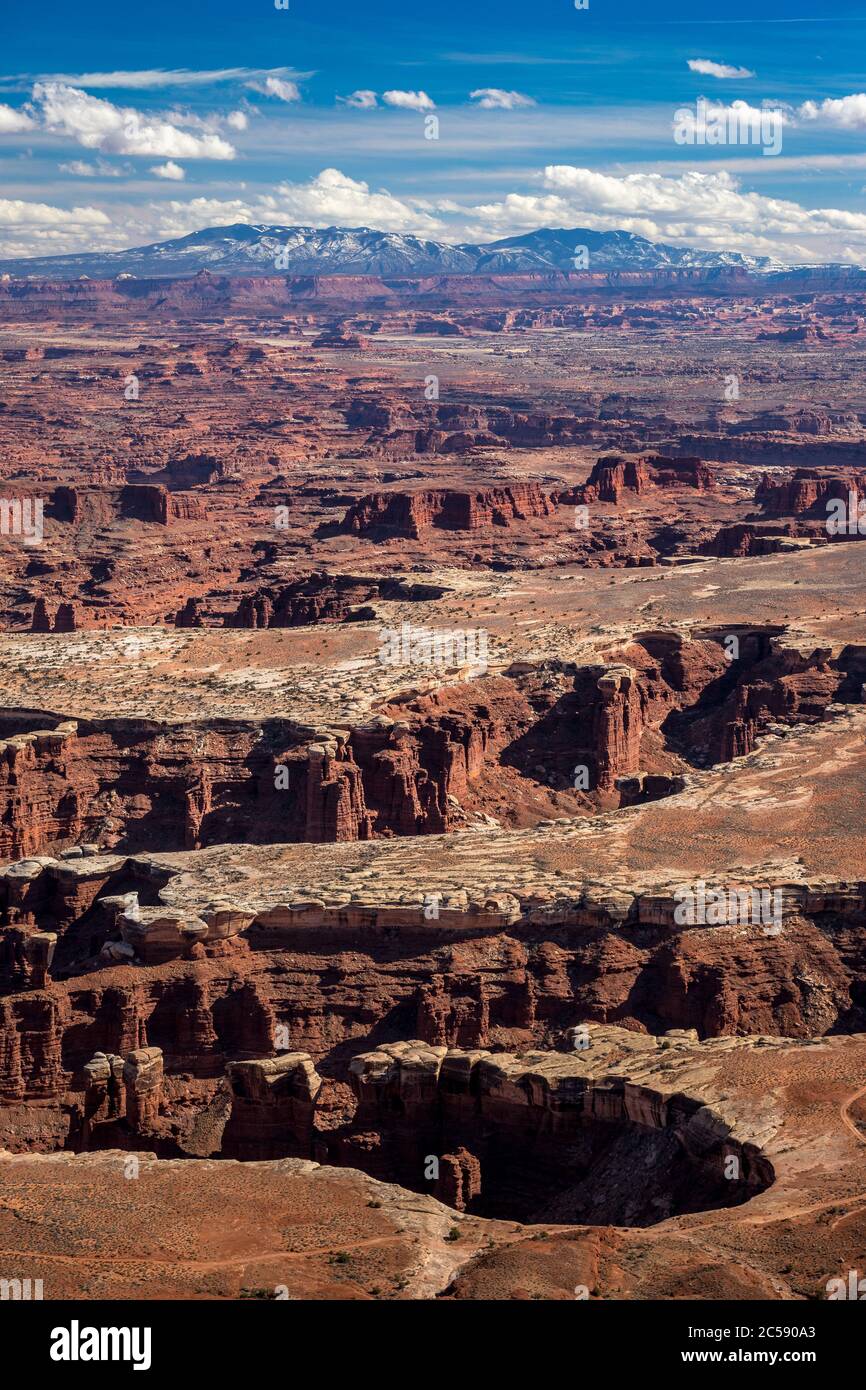Elevated view of Monument Basin and White Rim from Grand View Point ...