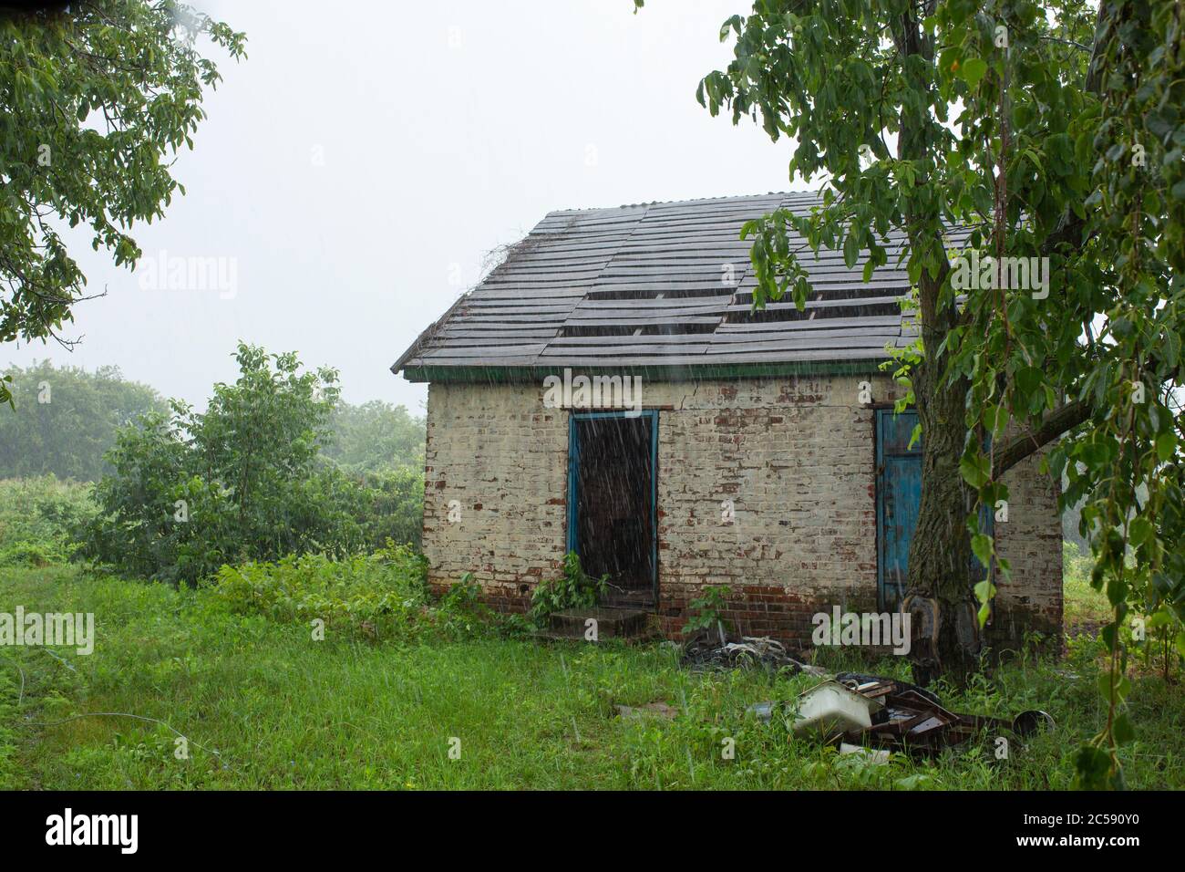 Heavy rain near an old abandoned house in a distant village. Green ...