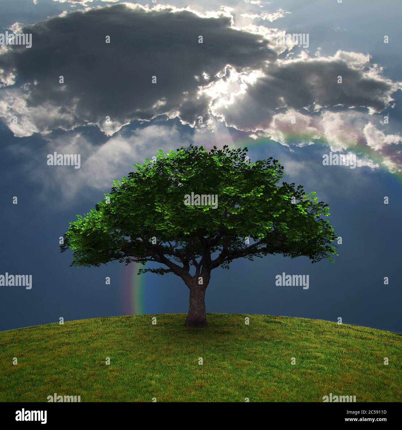 Green Tree Rainbow Stock Photo - Alamy