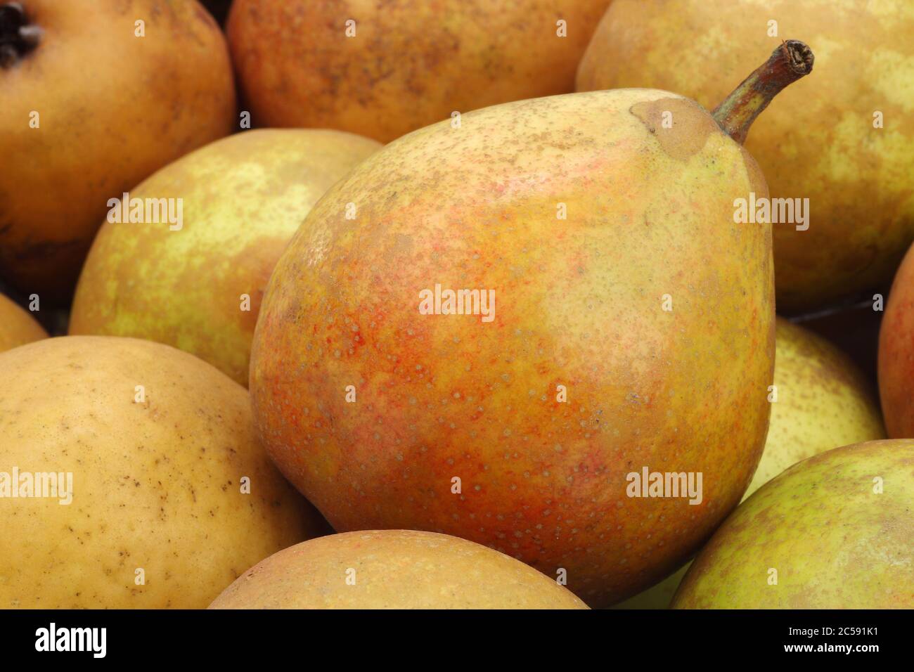 Wildeman High Resolution Stock Photography and Images - Alamy