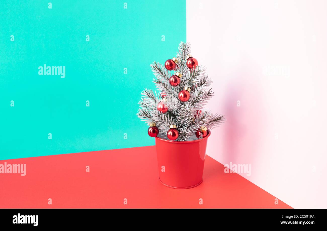 Christmas festival concepts ideas with mock up cute pine tree on pastel ...