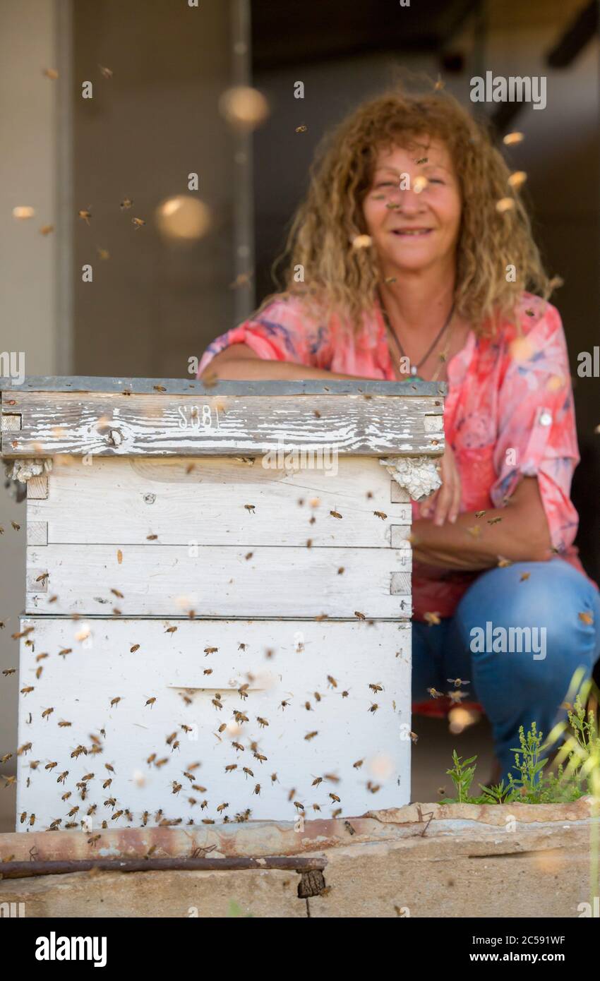 Female worker bee hi-res stock photography and images - Alamy