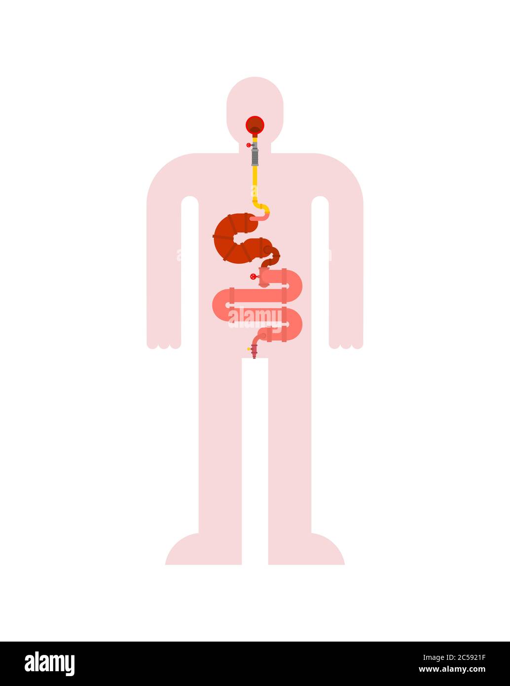 Metal digestive tract. Iron stomach and intestines. Robotic internal ...