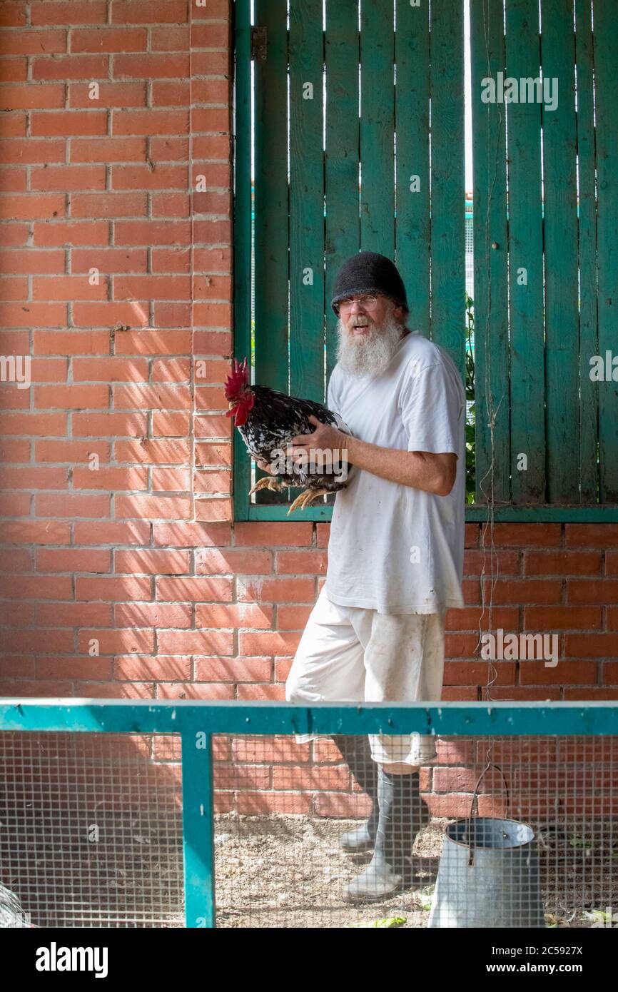 Israeli livestock breeding hi-res stock photography and images - Alamy