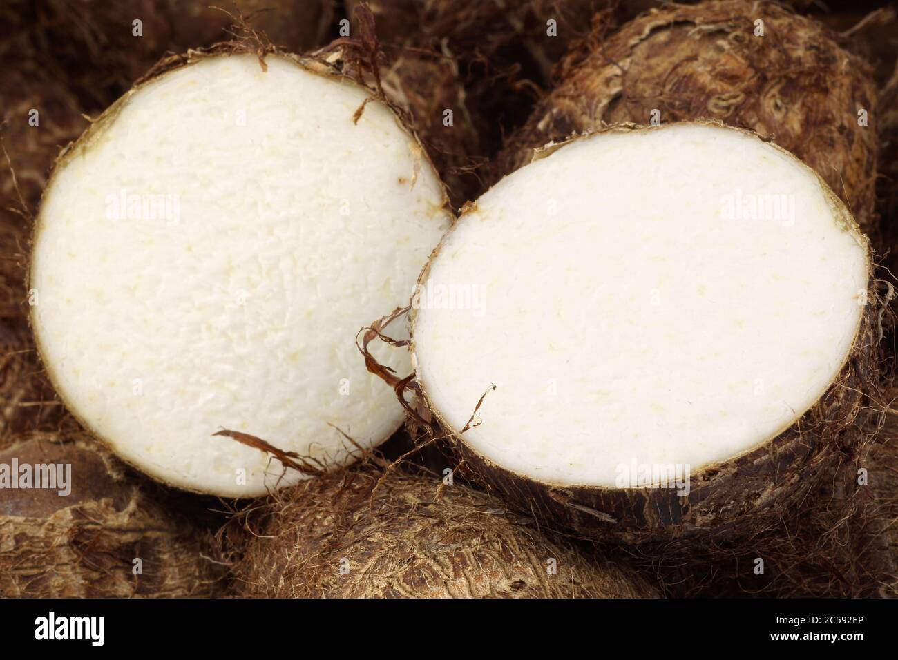 Plant root hairs hi-res stock photography and images - Alamy