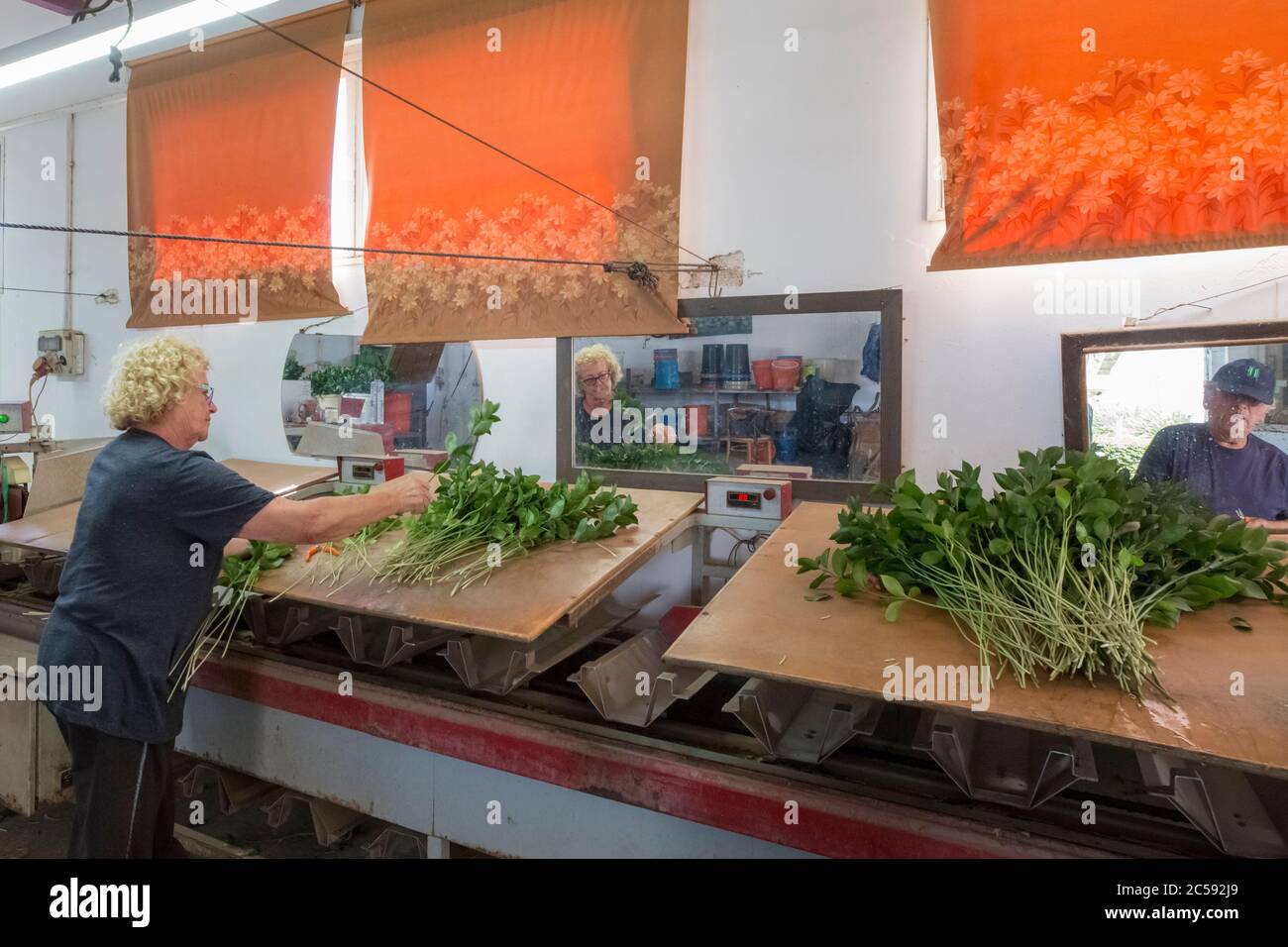 Packing flowers hi-res stock photography and images - Alamy