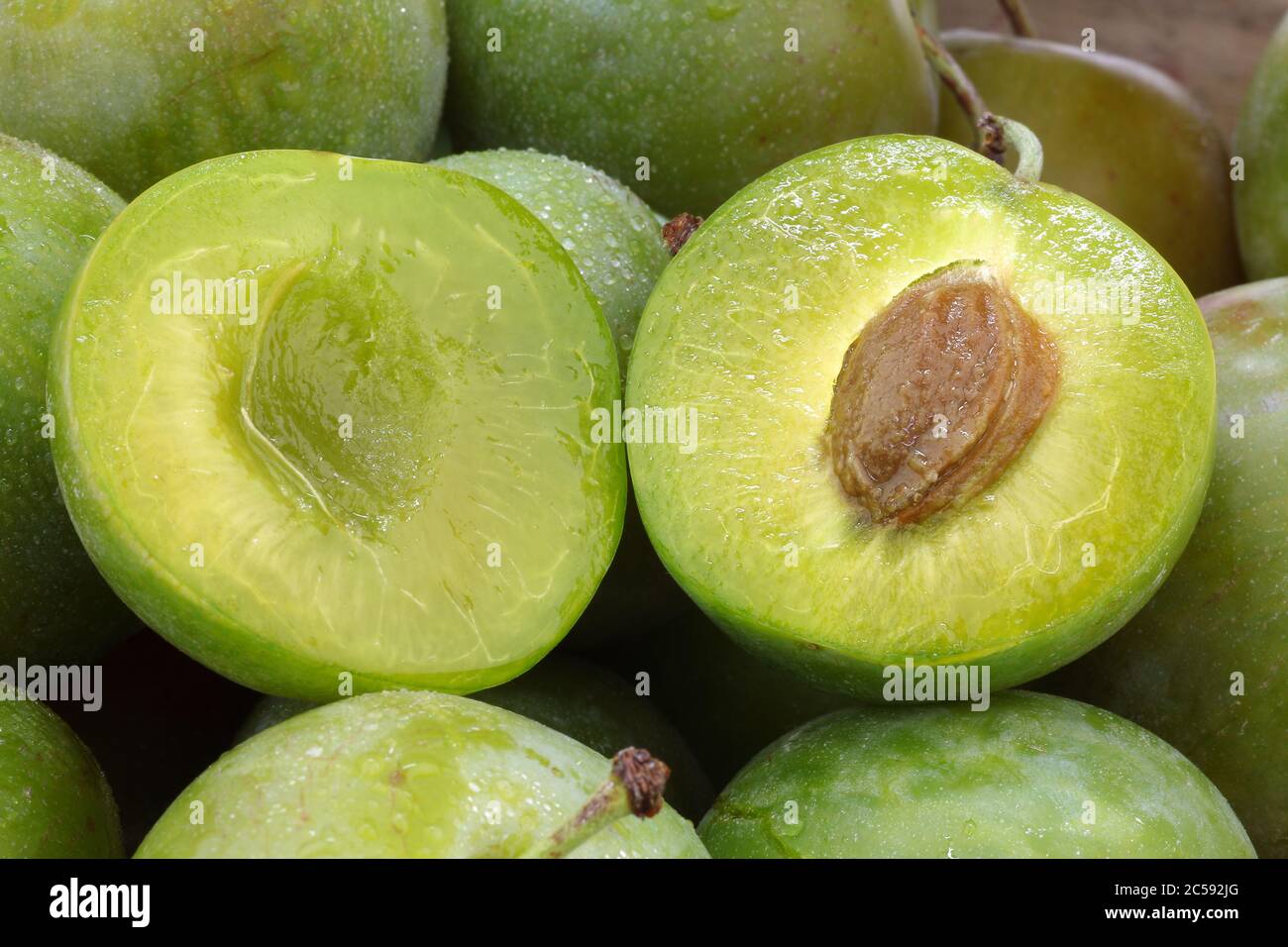 three fresh "Reine Claude"plums and a cut one on a white background ...
