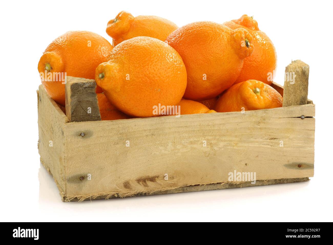 fresh and colorful Minneola tangelo fruit in a wooden crate on a white ...