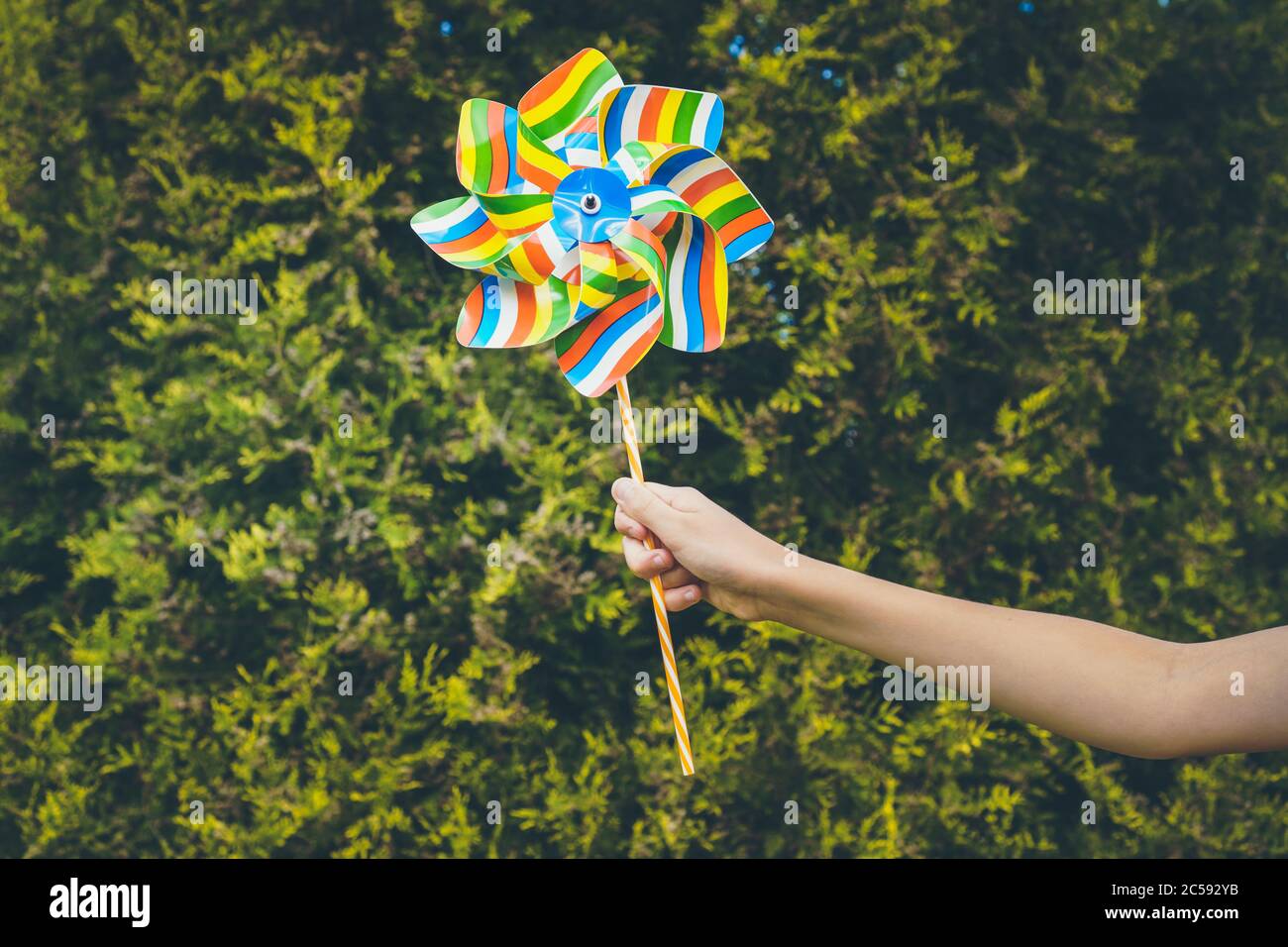 Colourful pinwheel windmill on a hand with nature background Stock ...