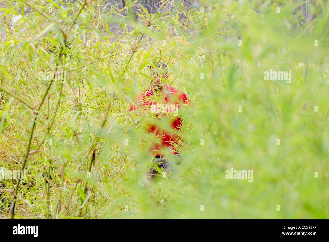 Sharon plain hi-res stock photography and images - Alamy