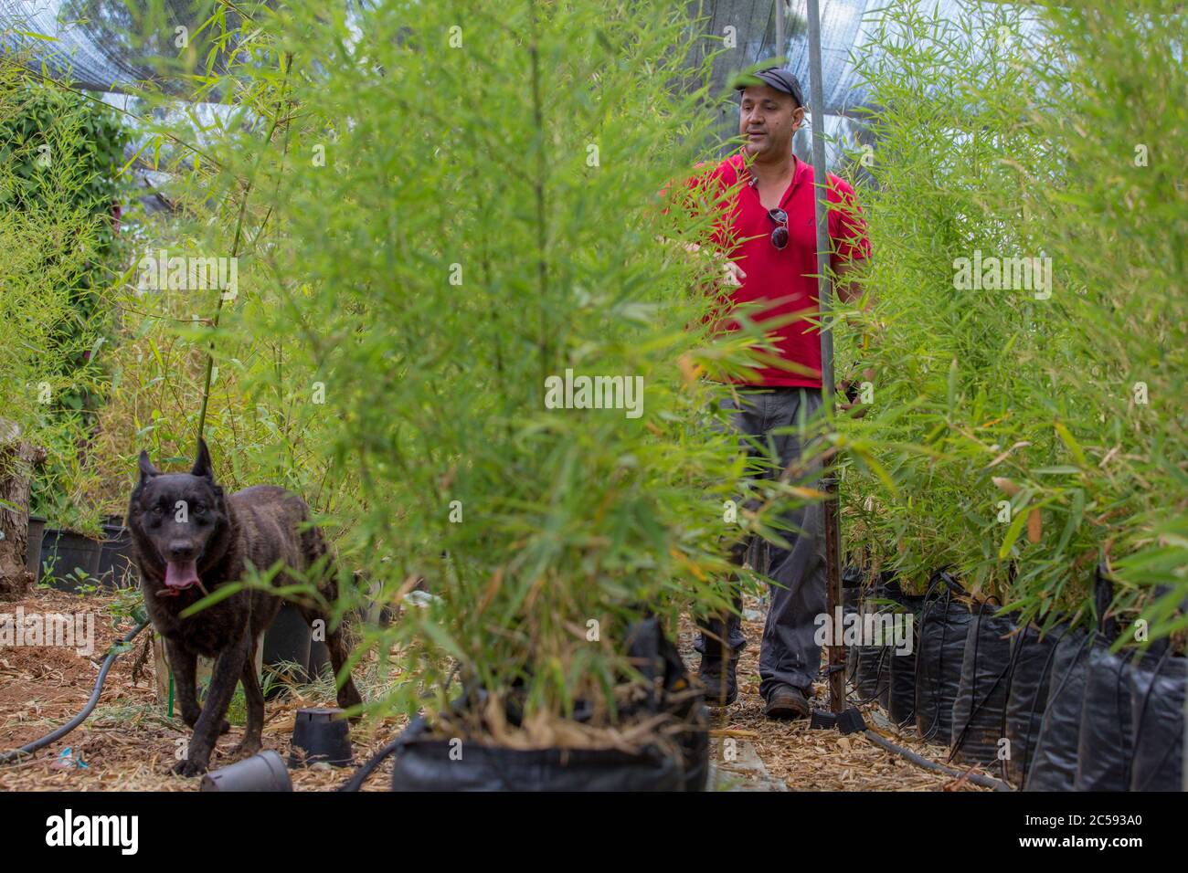 Sharon plain hi-res stock photography and images - Alamy