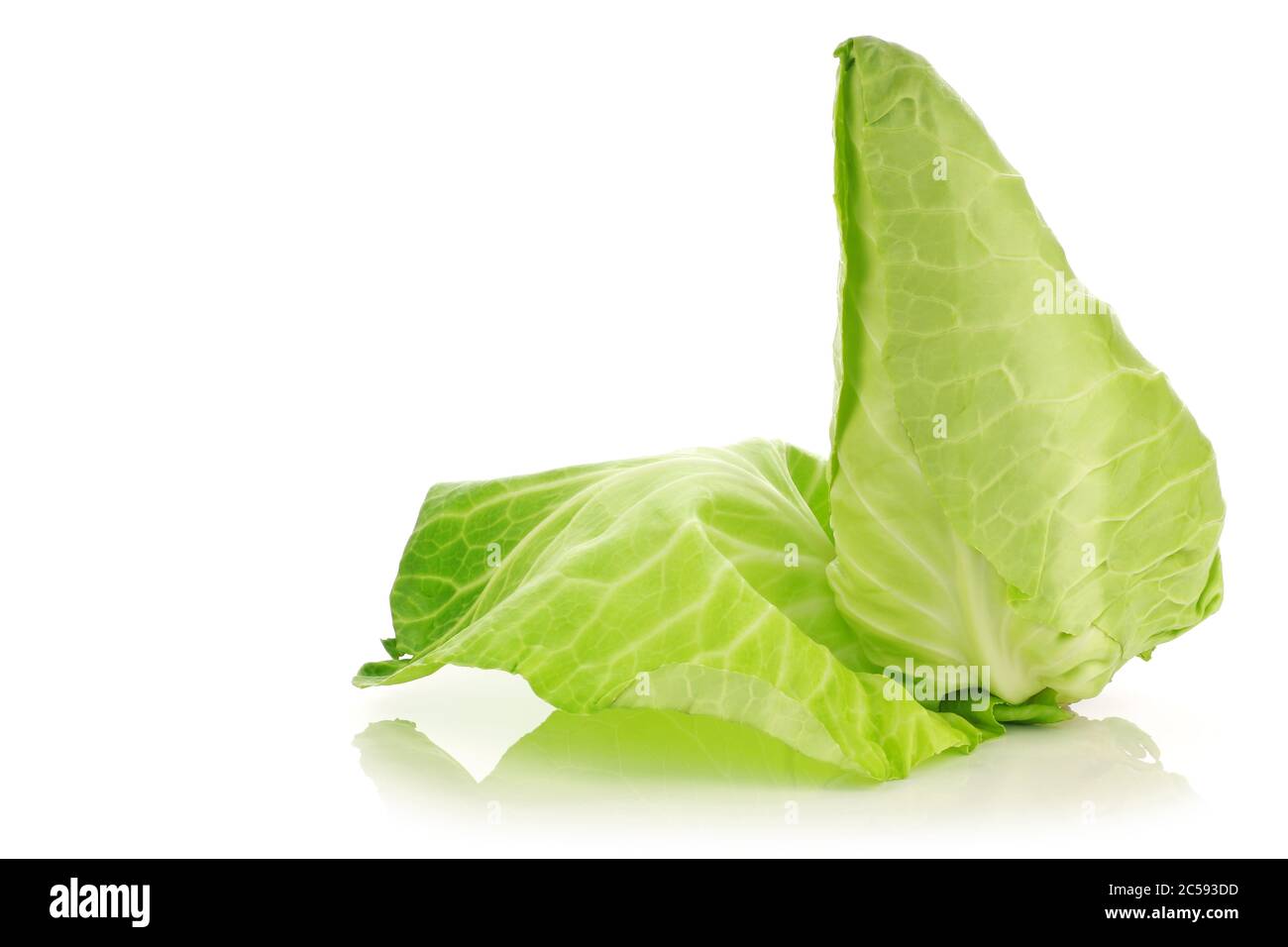a fresh harvested green pointed cabbage on a white background Stock ...