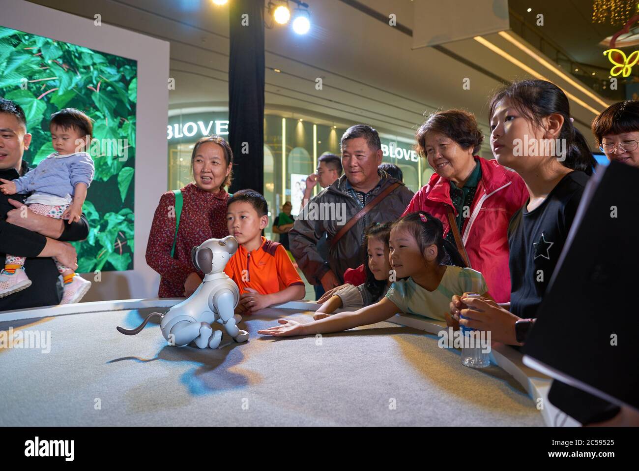 SHENZHEN, CHINA - CIRCA APRIL, 2019: people play with Sony's Aibo robot dog at Sony Expo 2019 at ...