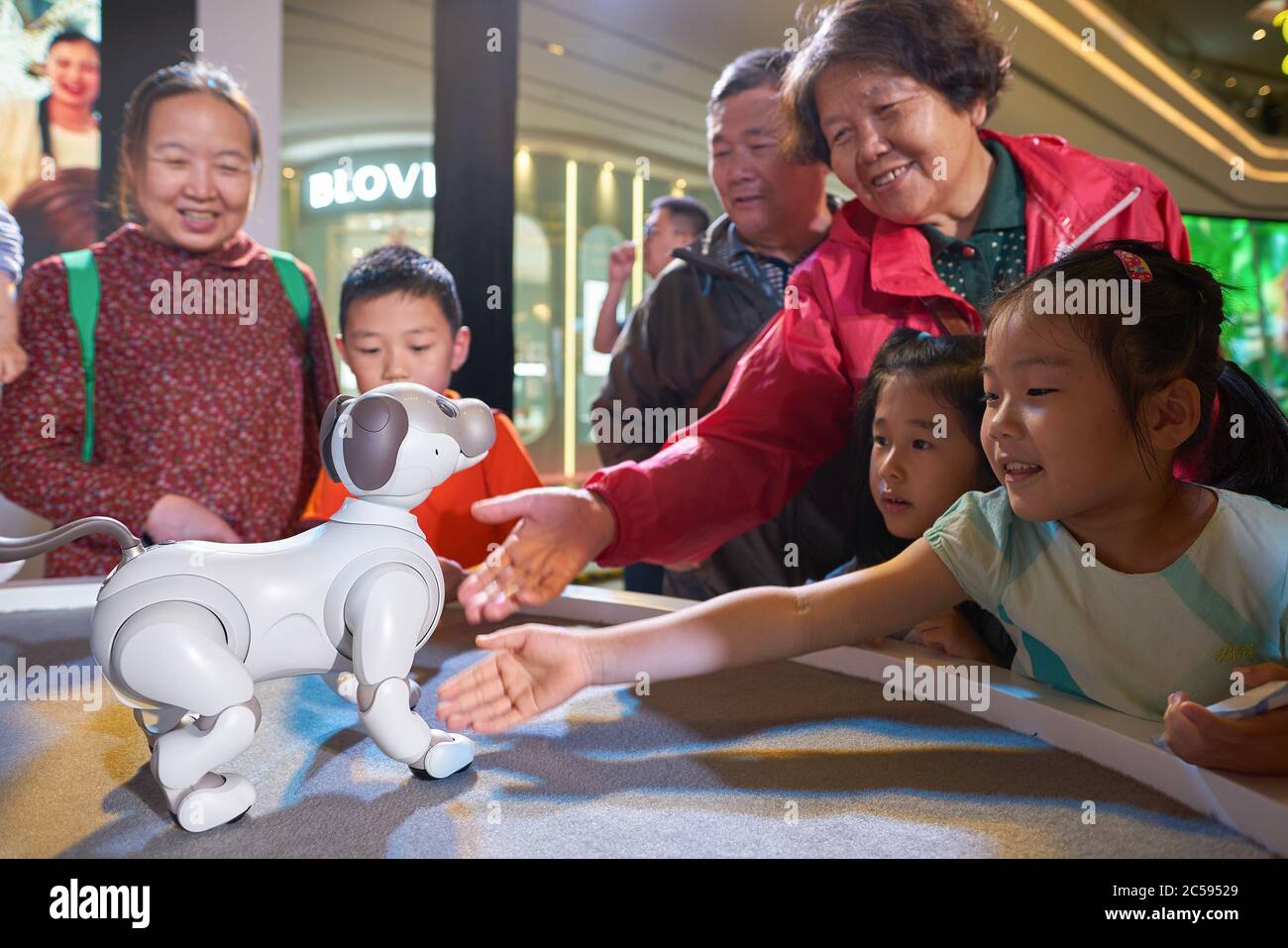 SHENZHEN, CHINA - CIRCA APRIL, 2019: people play with Sony's Aibo robot dog at Sony Expo 2019 at ...