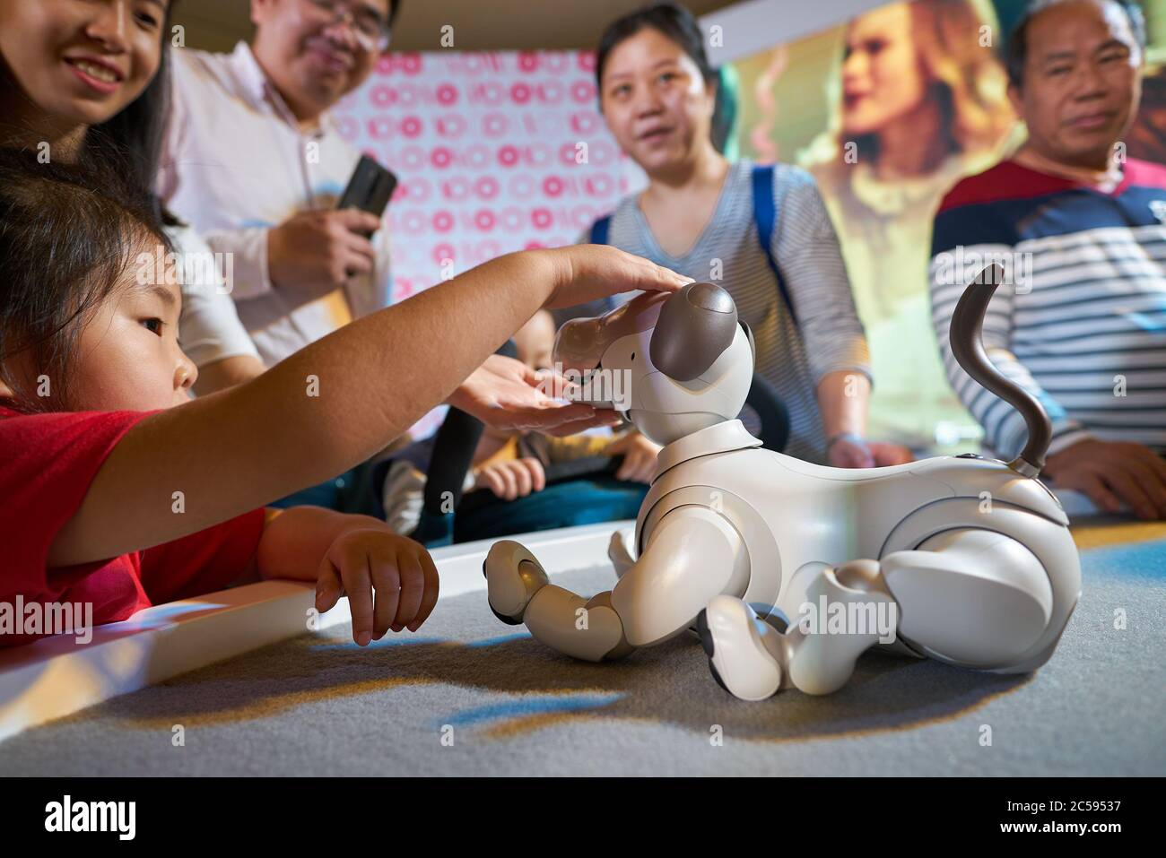 SHENZHEN, CHINA - CIRCA APRIL, 2019: people play with Sony's Aibo robot dog at Sony Expo 2019 at ...