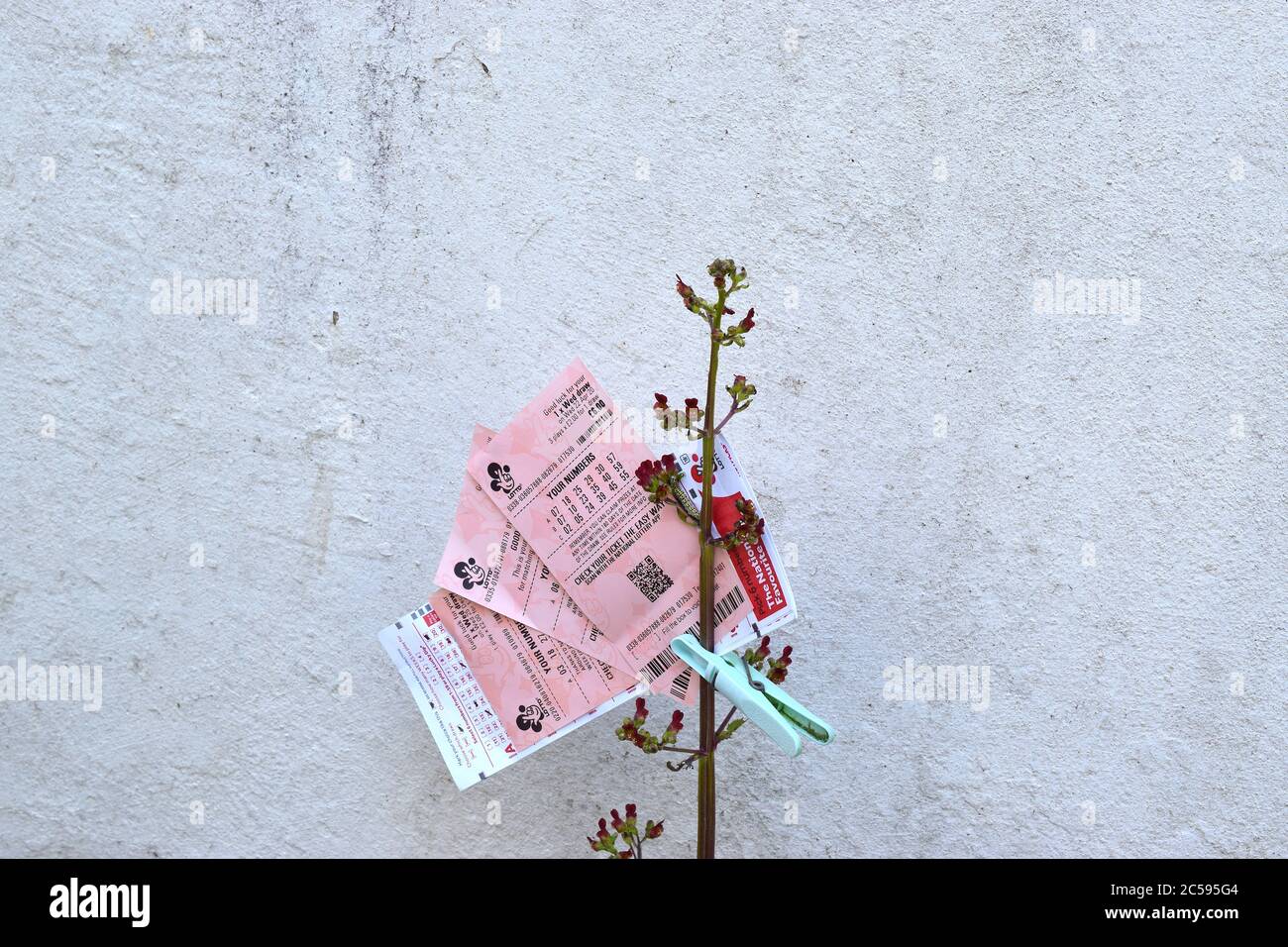 Lotto British High Resolution Stock Photography and Images - Alamy