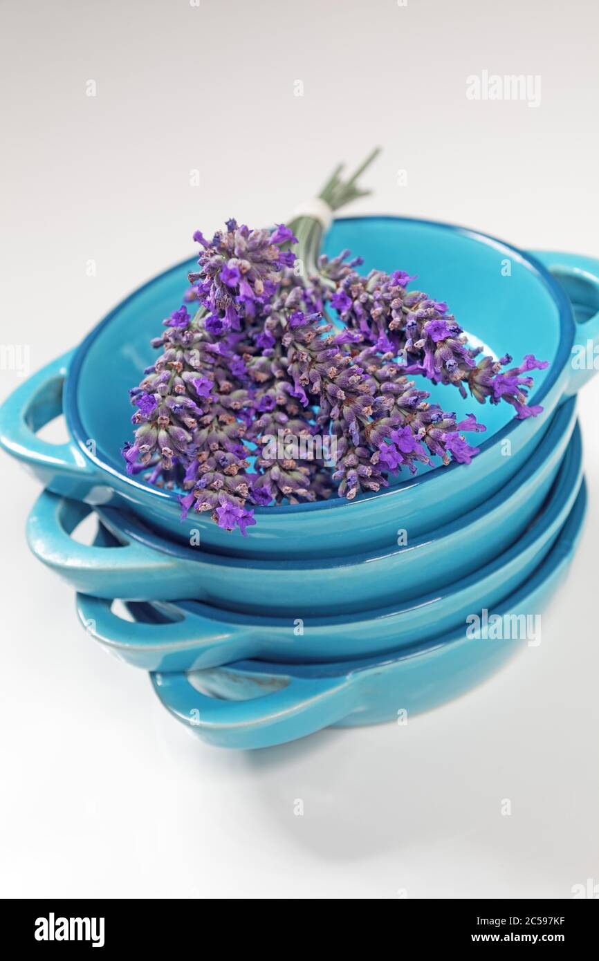 Lavender cut out hi-res stock photography and images - Alamy