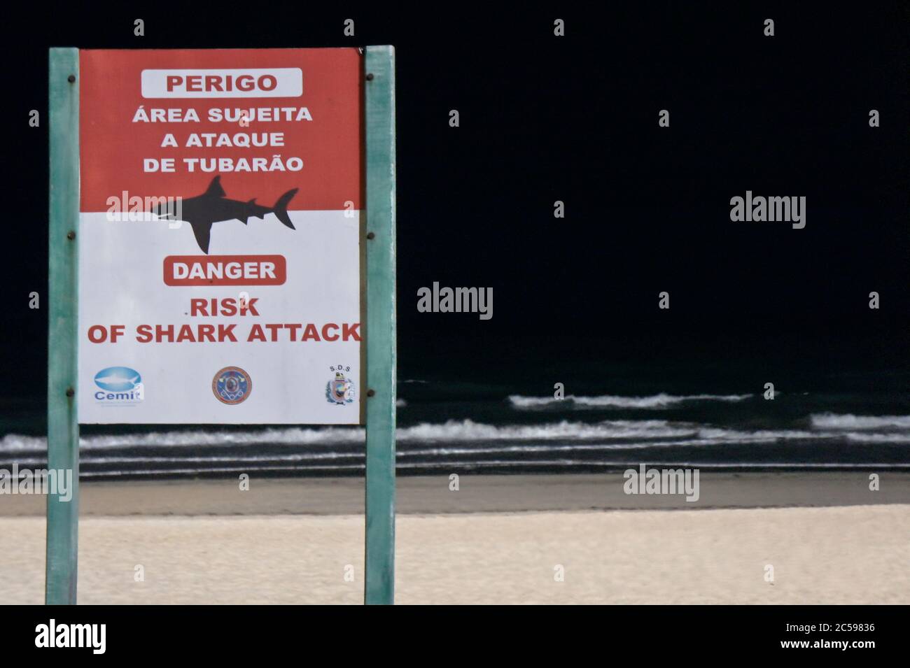 Shark swimming street hi-res stock photography and images - Alamy