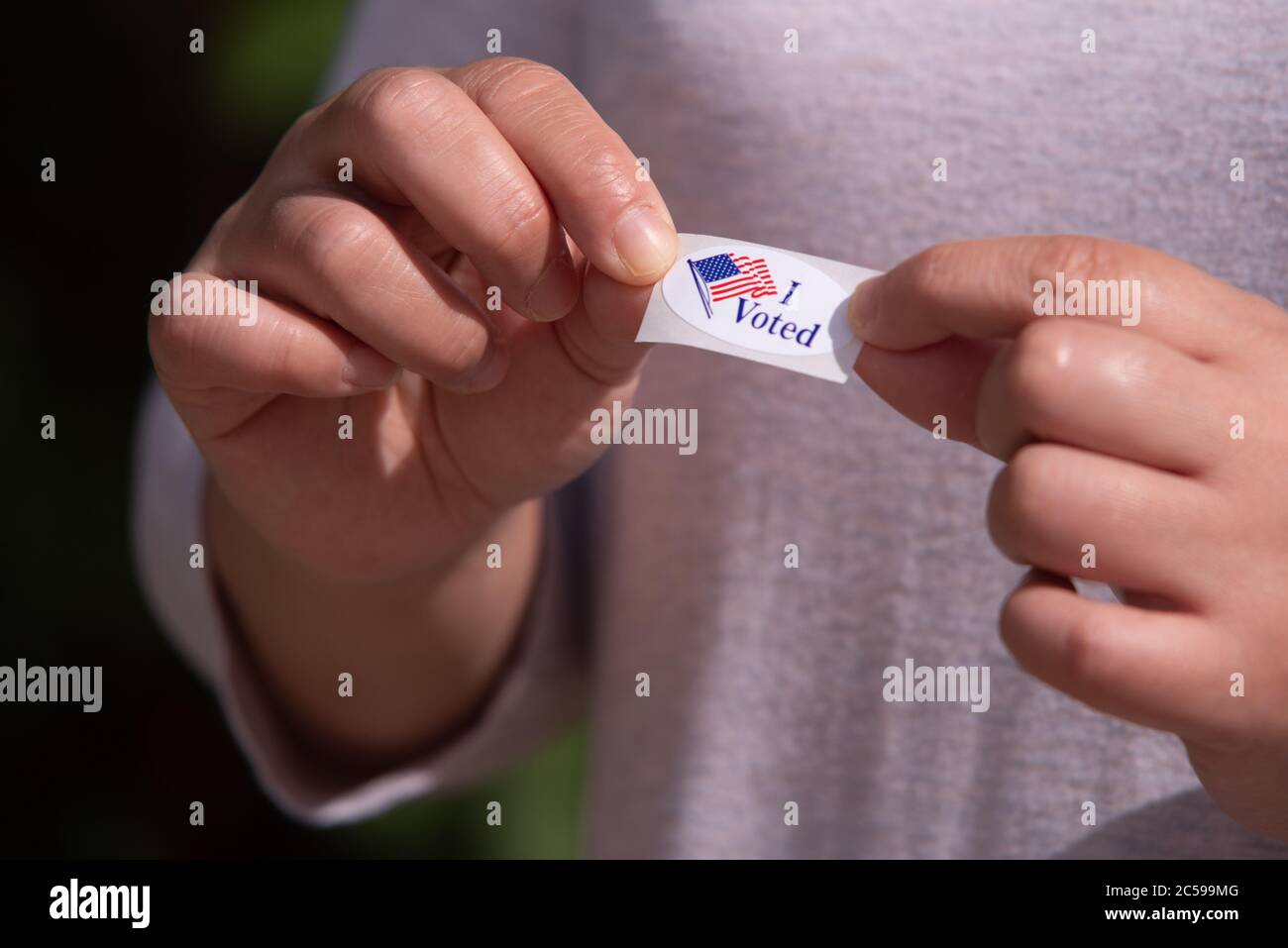 Woman win right to vote hi-res stock photography and images - Alamy