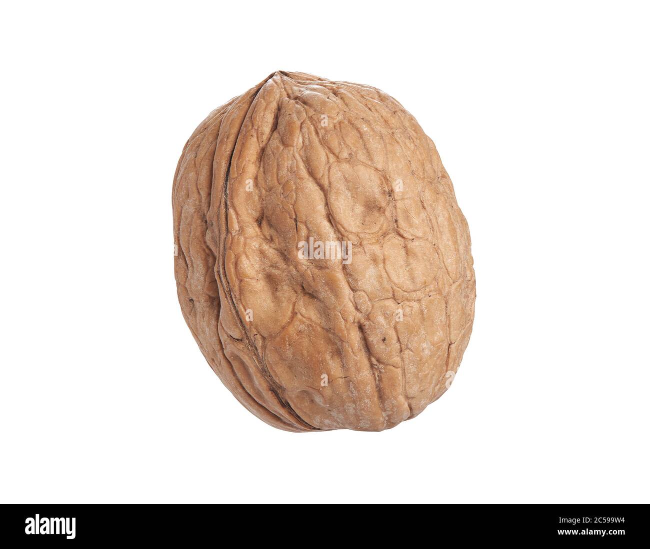 Single whole walnut isolated on white background with clipping path ...