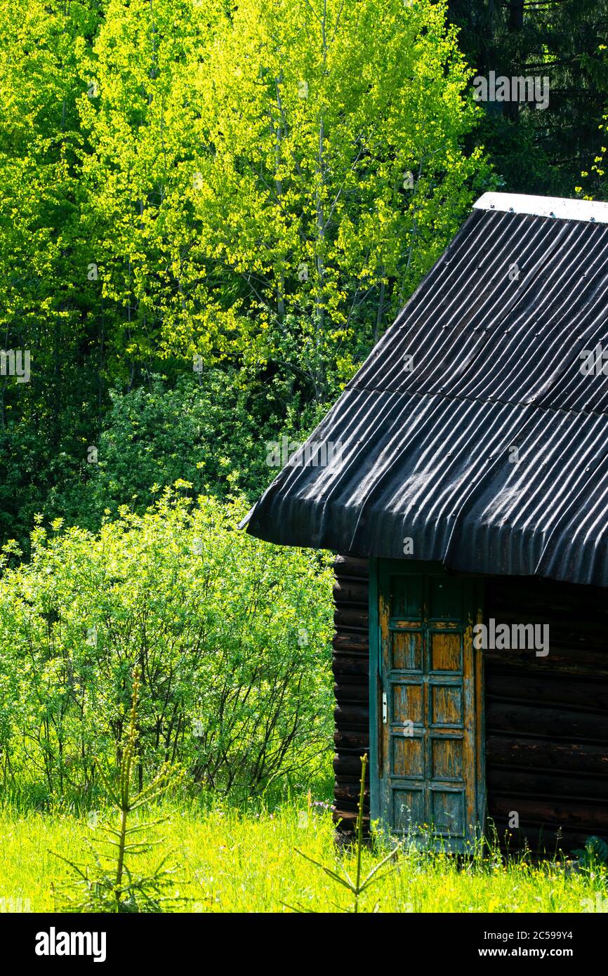 wooden house in the green forest Stock Photo - Alamy