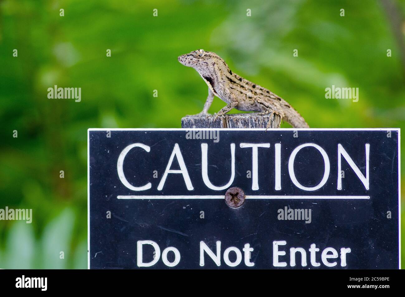 Hunting sign on private property hi-res stock photography and images ...